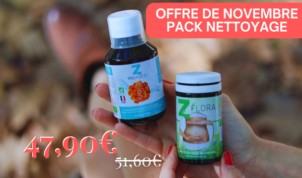 Pack de nettoyage pour novembre – Laboratoire Mint-e