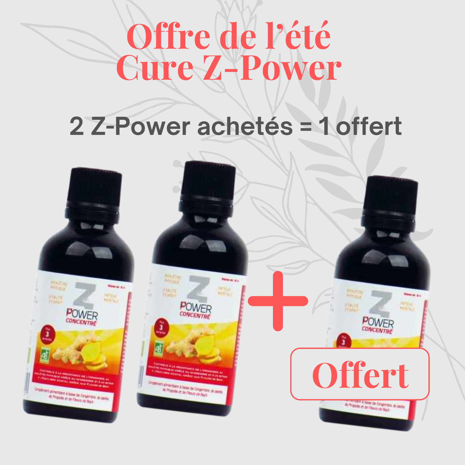 Z-Power Concentré vitalité – Laboratoire Mint-e